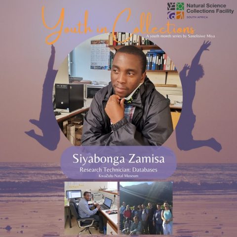 Youth in Collections | Siyabonga Zamisa | NSCF