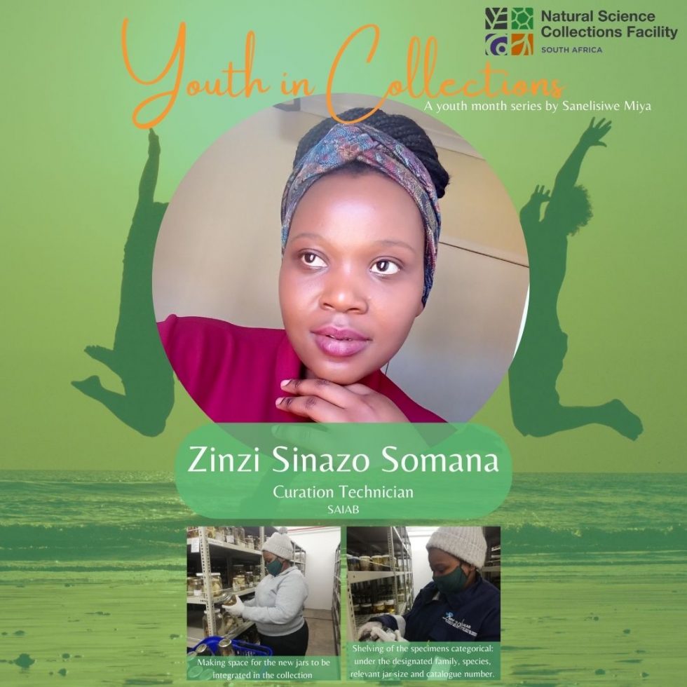 Youth in Collections | Zinzi Sinazo Somana | NSCF