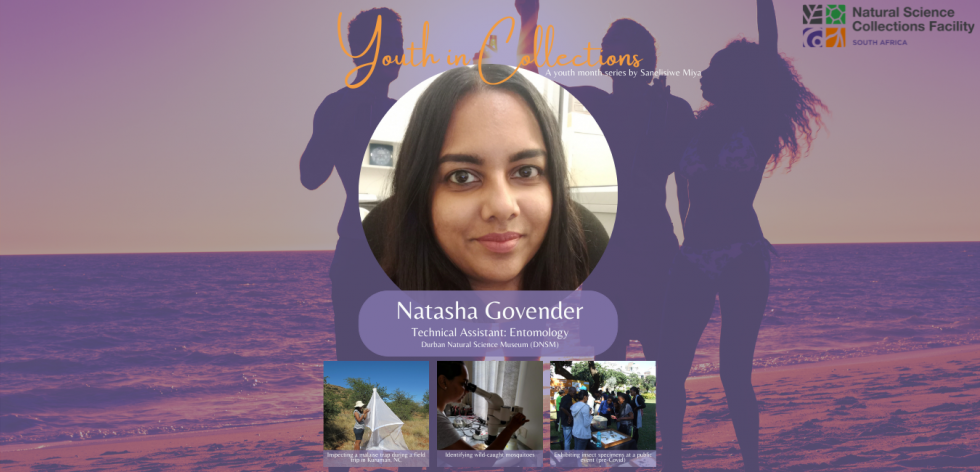 Youth in Collections | Natasha Govender | NSCF